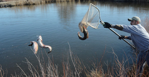 Fishing Southern Idaho - Visit Southern Idaho