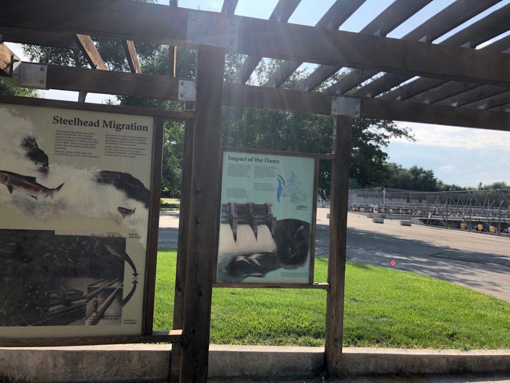 Hagerman National Fish Hatchery - Visit Southern Idaho