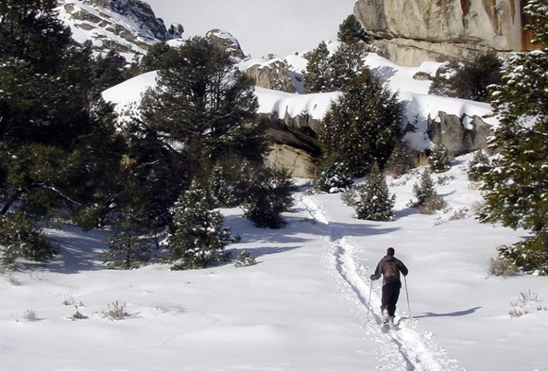 Time to Think Snow! CSI Ski Swap coming up this weekend - Visit ...