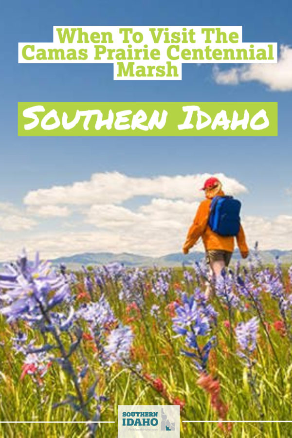 Camas Prairie Centennial Marsh WMA - Visit Southern Idaho