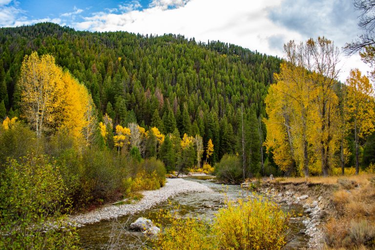 Discover Fall Colors in Southern Idaho - Visit Southern Idaho