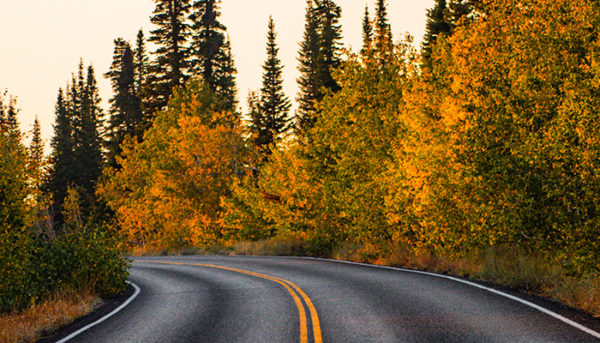 Discover Fall Colors in Southern Idaho - Visit Southern Idaho