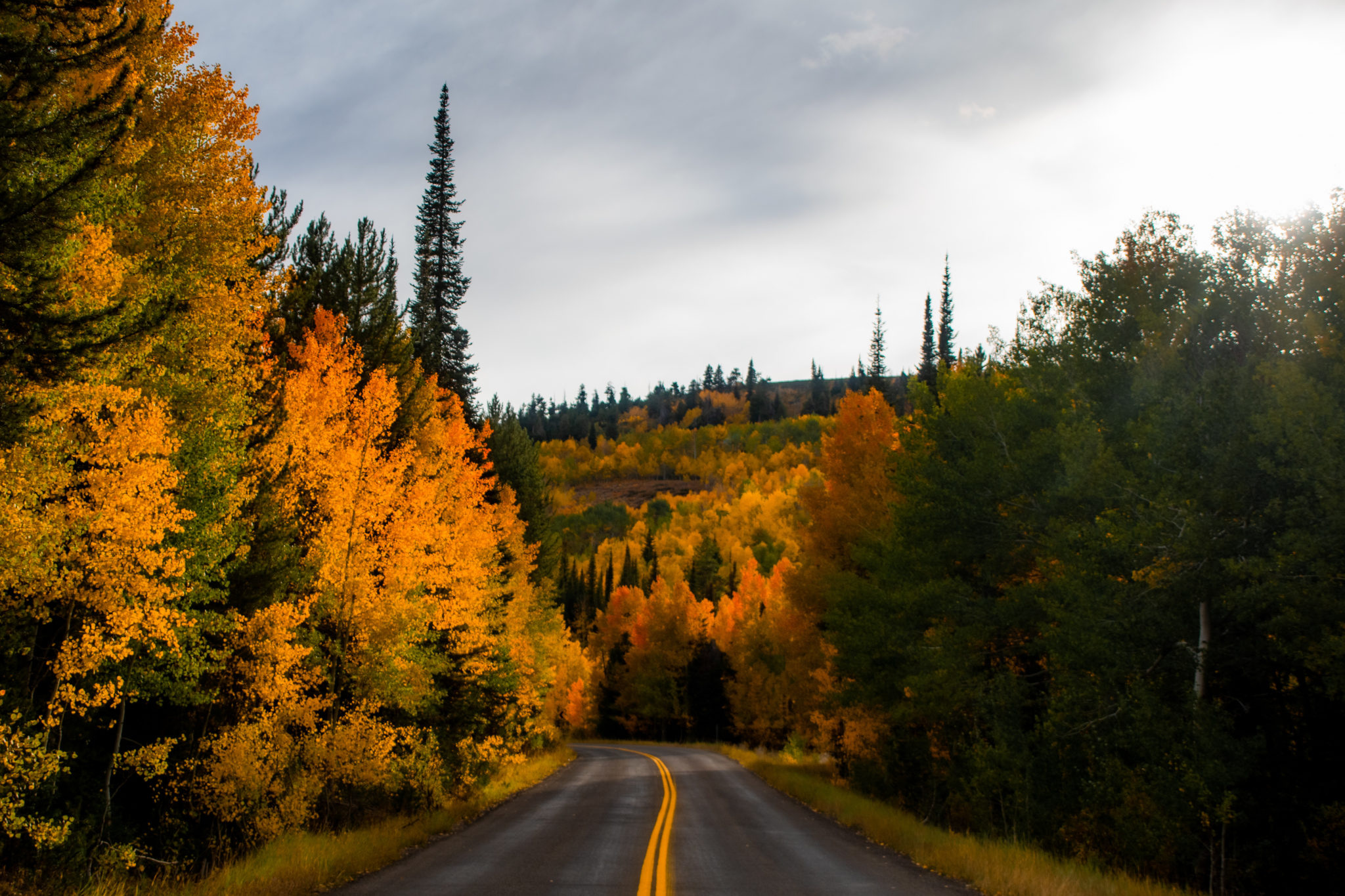 1,000 Springs Resort | RV & Camping in Southern Idaho