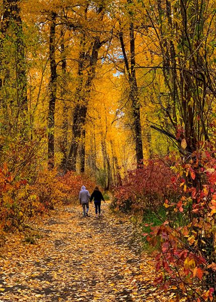 Road Trip from Twin Falls to the Wood River Valley- Visit Southern Idaho